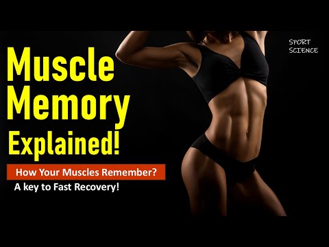 Muscle Memory: How Your Body Remembers Strength & Skills!