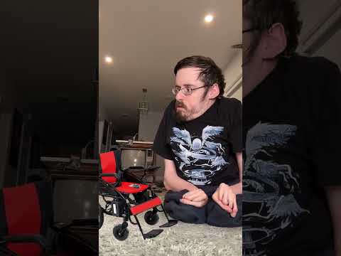 DISABLED FLY