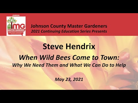 Johnson County Master Gardeners: When Wild Bees Come to Town