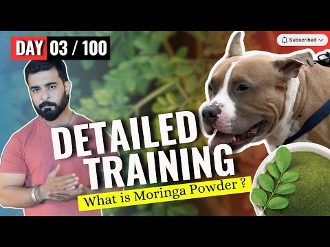 🔴 Day 03/100 || Full Workout Training || Moringa Powder Ke Benefits #ThesrOfficial