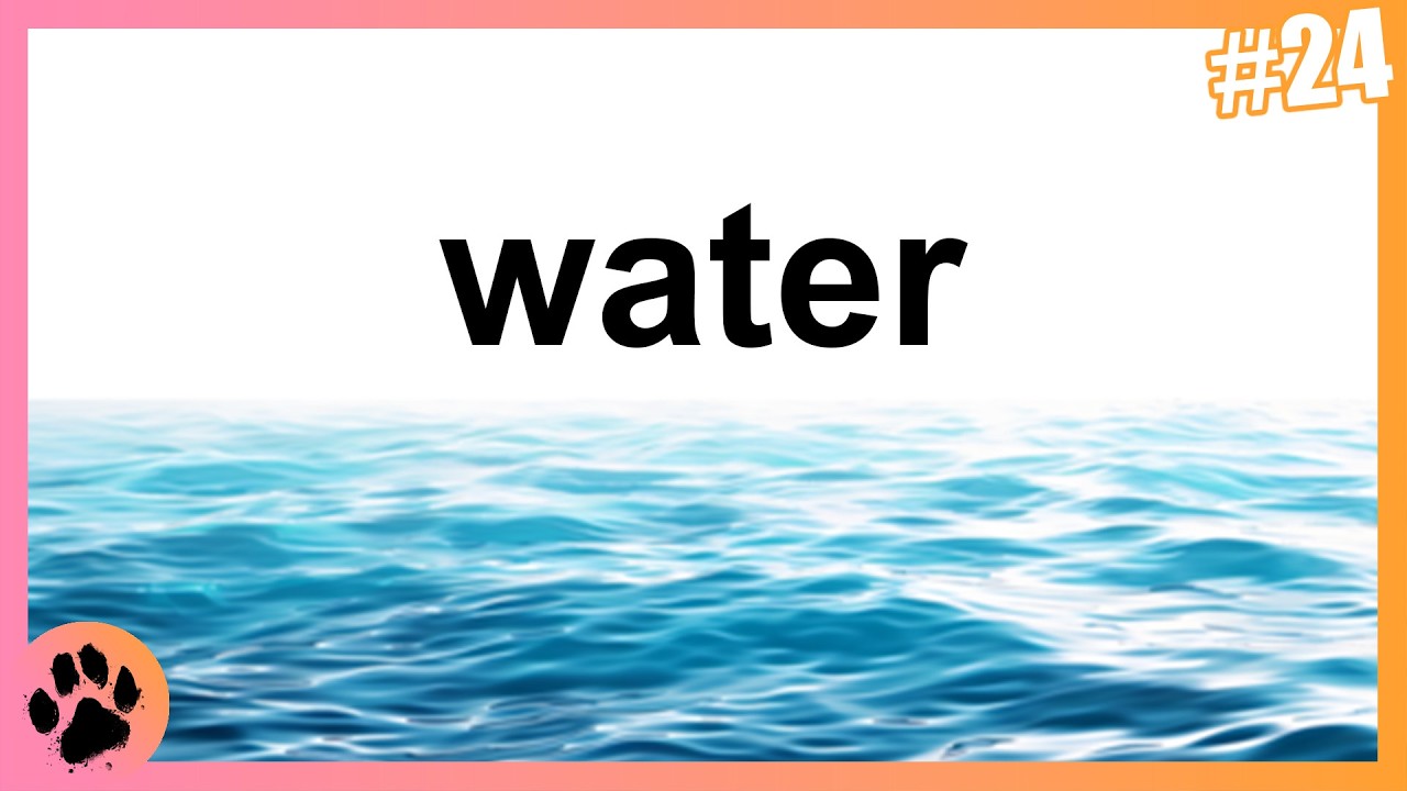 A Bit About: Water