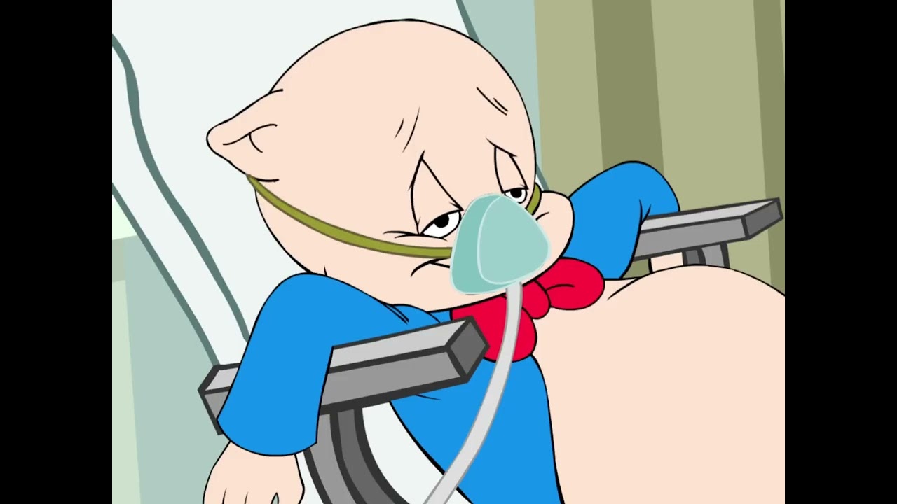 Daffy Dentist D.D.S - WebTunes