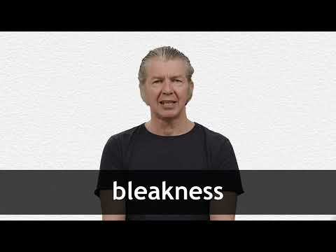 BLEAKNESS definition and meaning | Collins English Dictionary