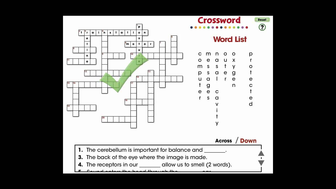 CC7550 Senses, Nervous & Respiratory Systems: Crossword App