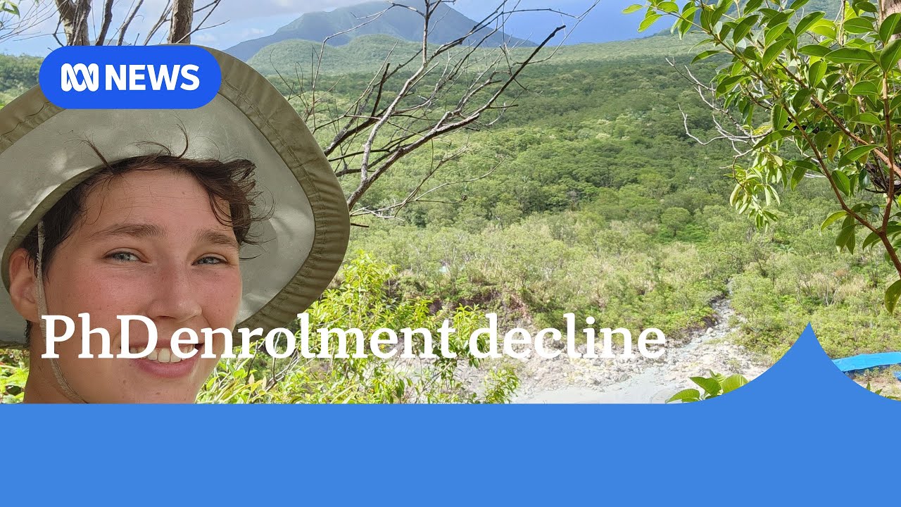 Domestic PhD enrolments are declining | ABC News