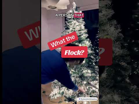 What the FLOCK? 🎄 What is a flocked Christmas Tree? Viral flocked Christmas Tree flocking Christmas
