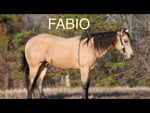 FABIO