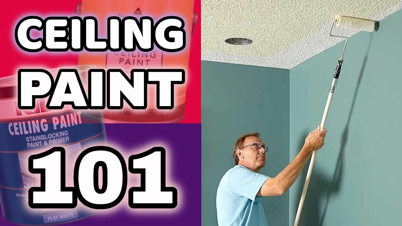 CEILING PAINT GUIDE | What Makes It Different From Wall Paint? | How to Choose Paint