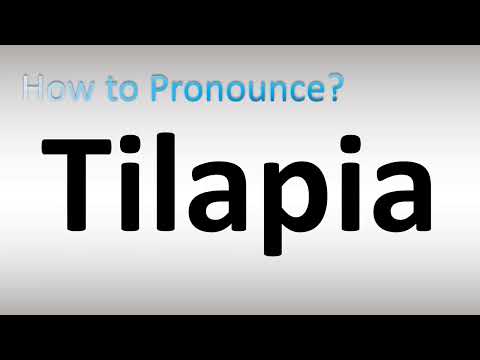 How to Pronounce Tilapia Fish
