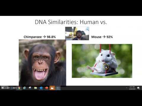 Molecular Homology