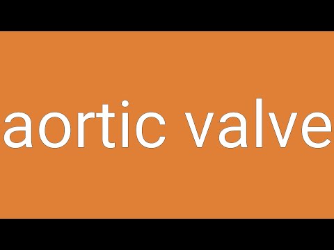 Aortic Valve anterior vertebral vein
