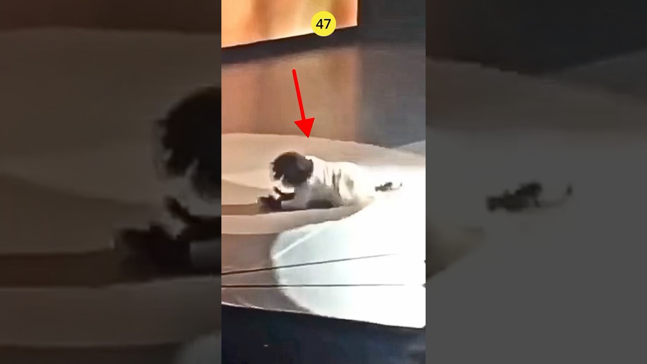 Oprah Winfrey Mocks God On TV Then This Happens