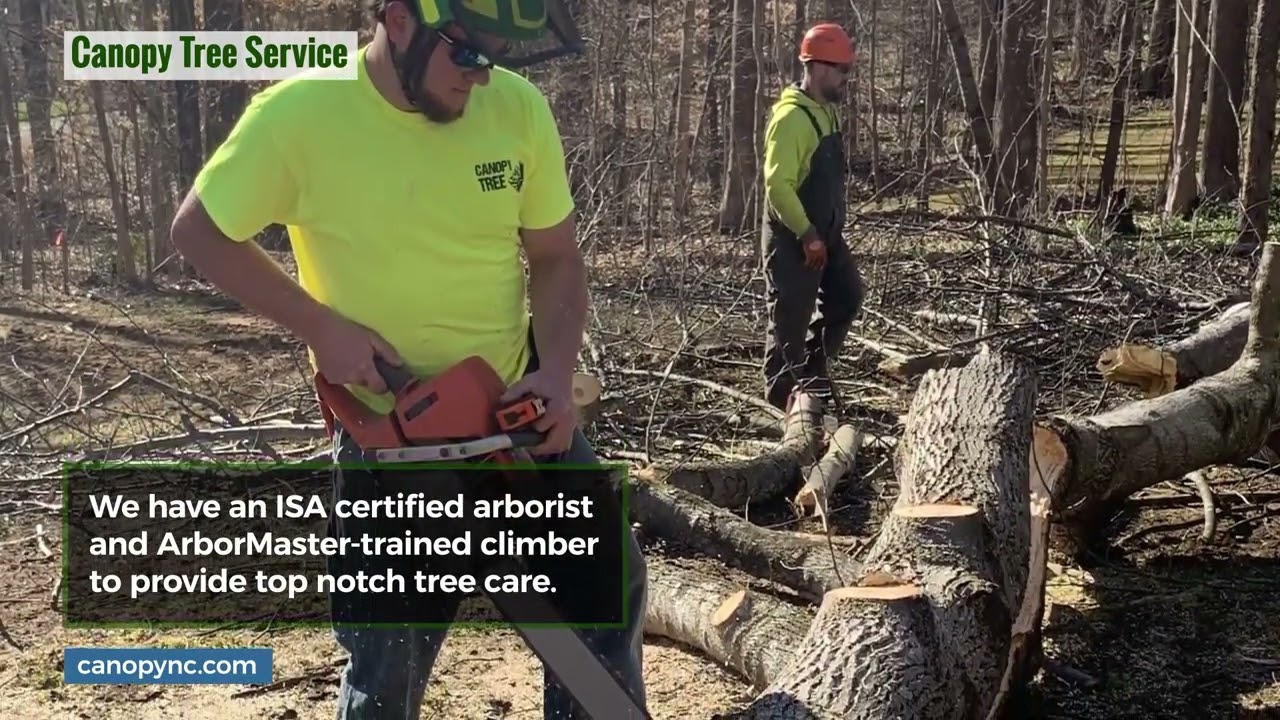Canopy Tree Service Mocksville North Carolina 27028
