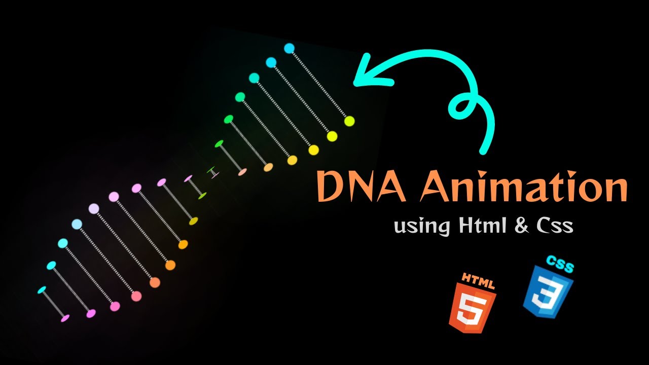 DNA Animation using Html & Css with Source code