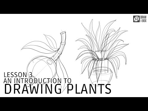 Drawabox Lesson 3: An Introduction to Drawing Plants