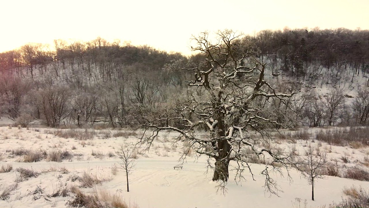 Decorah Community Prairie at Sunrise