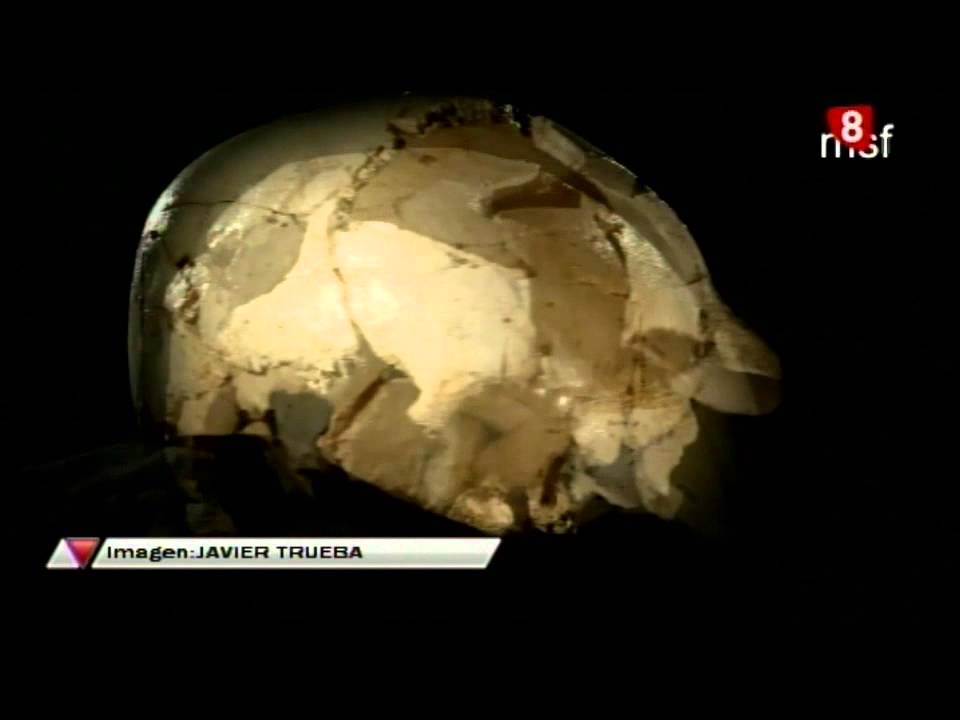 Los cráneos de la Sima de los Huesos de Atapuerca, noticia mundial