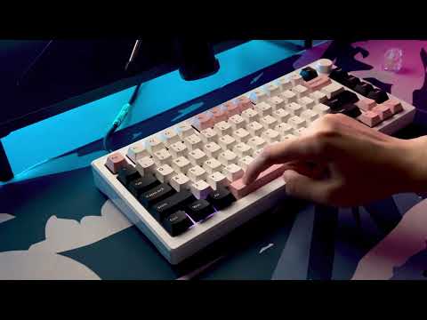 Akko Mod007 v2 Pearl White | Gateron Box Ink Black