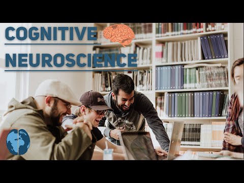 Cognitive Neuroscience | Neuroscience Career Spotlight