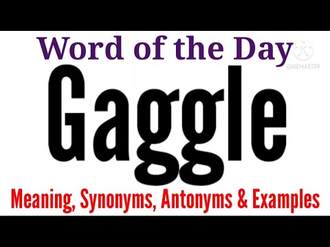 Gaggle Meaning in English and Hindi | Gaggle Synonyms and Antonyms | Gaggle in Sentences | Gaggle