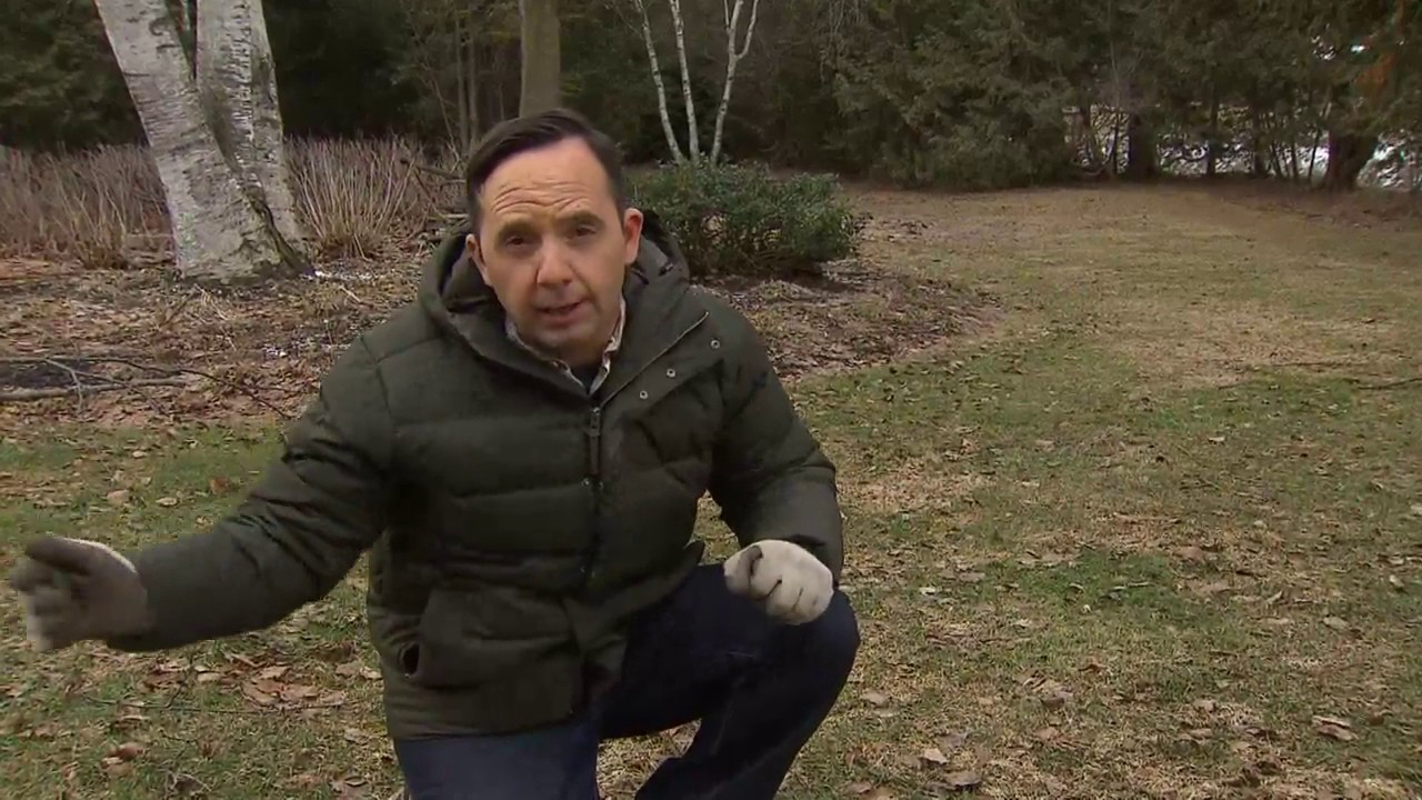 5 landscaping tips to clean up your lawn for this spring