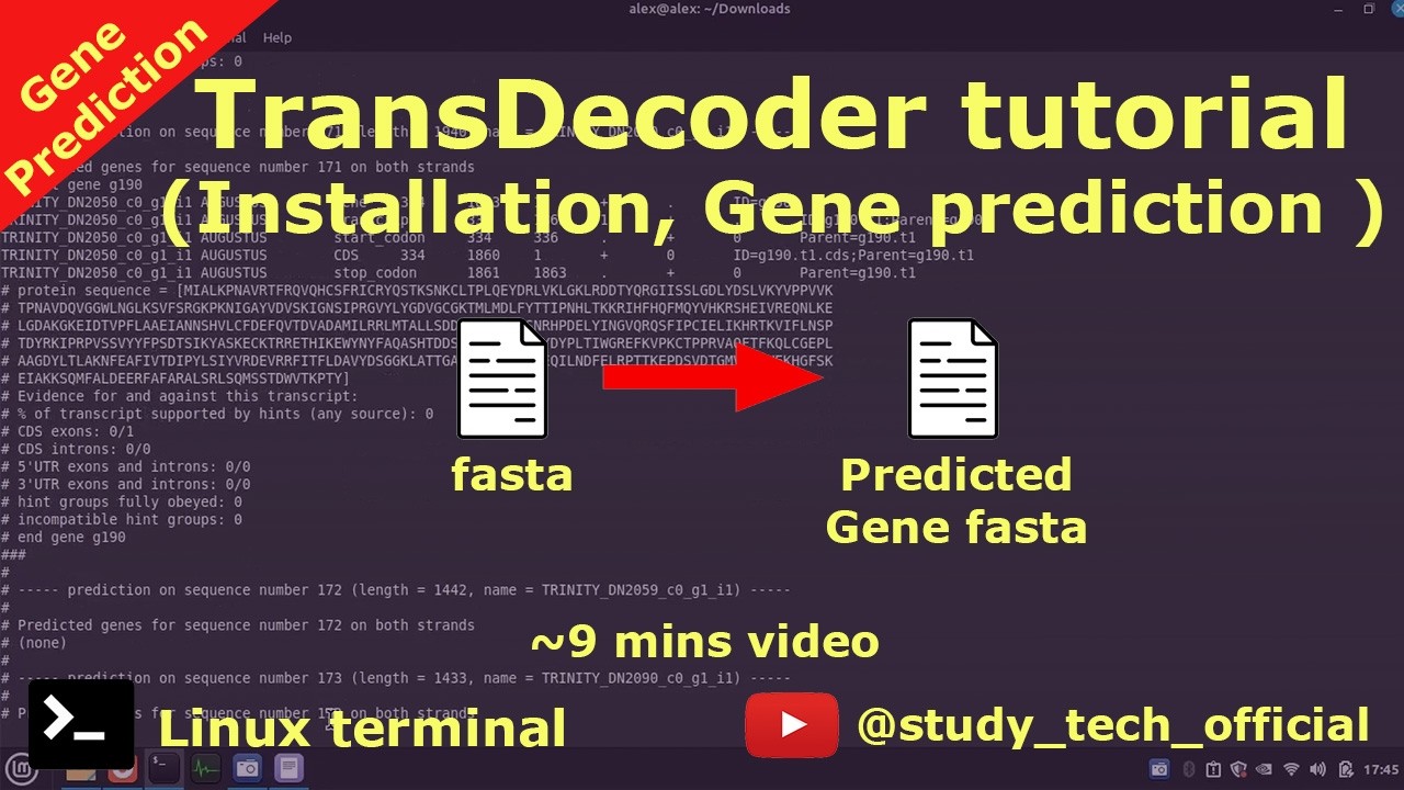TransDecoder tutorial | Installation | gene prediction #bioinformatics #tutorial