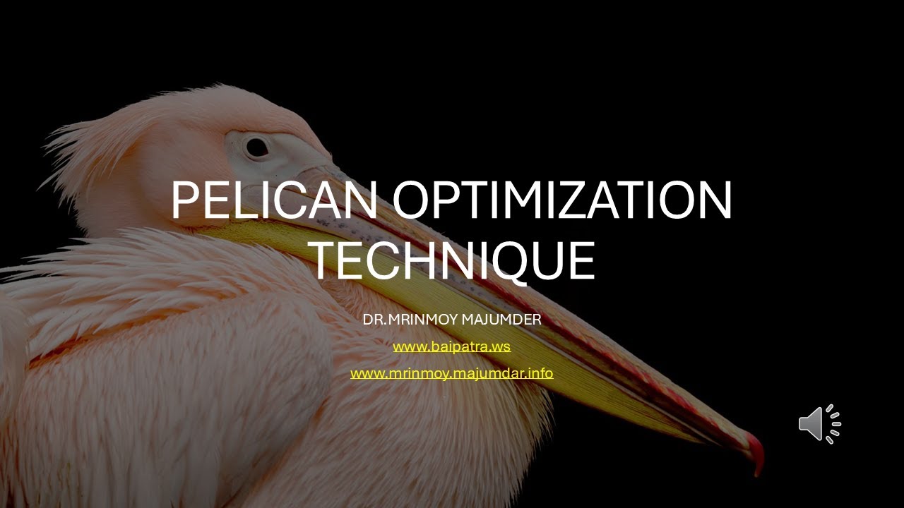 Master the Pelican Optimization Algorithm: A Complete Step-by-Step Guide