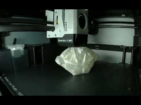 3D Printing Time-Lapse: BambuLab X1-Carbon - The Fastest 3D Printer on the Market!