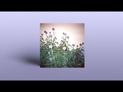 Sekuoia - Bashed