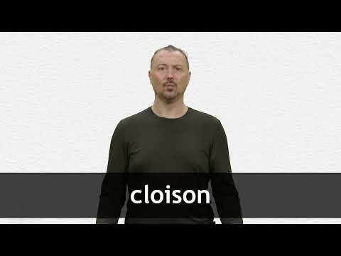 English Translation of “CLOISON” | Collins French-English Dictionary