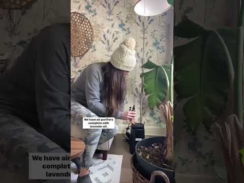 Make Your Rental Airbnb Stand Out | Unique Interior Design Styling Ideas #shorts