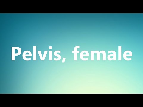 Pelvis, female - Medical Meaning and Pronunciation