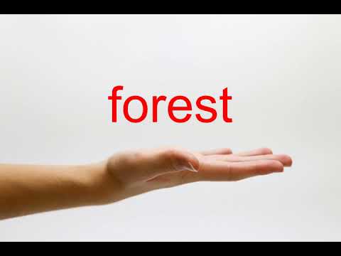 How to Pronounce forest - American English