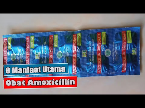 YUK KETAHUI!!! INILAH 8 MANFAAT UTAMA OBAT AMOXICILLIN