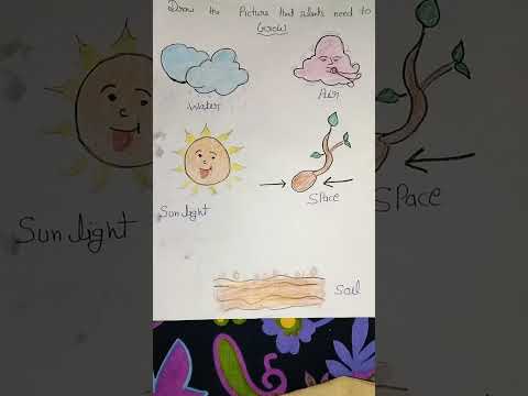 #science worksheet for 1st class#L.K.G./U.K.G#plants need to grow #water#air#sunlight #soil#space