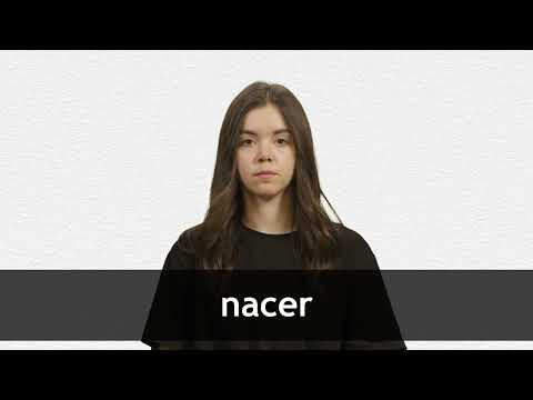 English Translation of “NACER” | Collins Spanish-English Dictionary