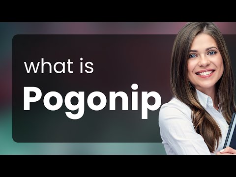 Pogonip | what is POGONIP definition