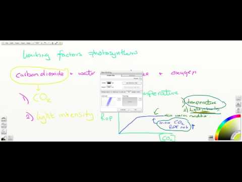 8) B2 Biology: Limiting factors
