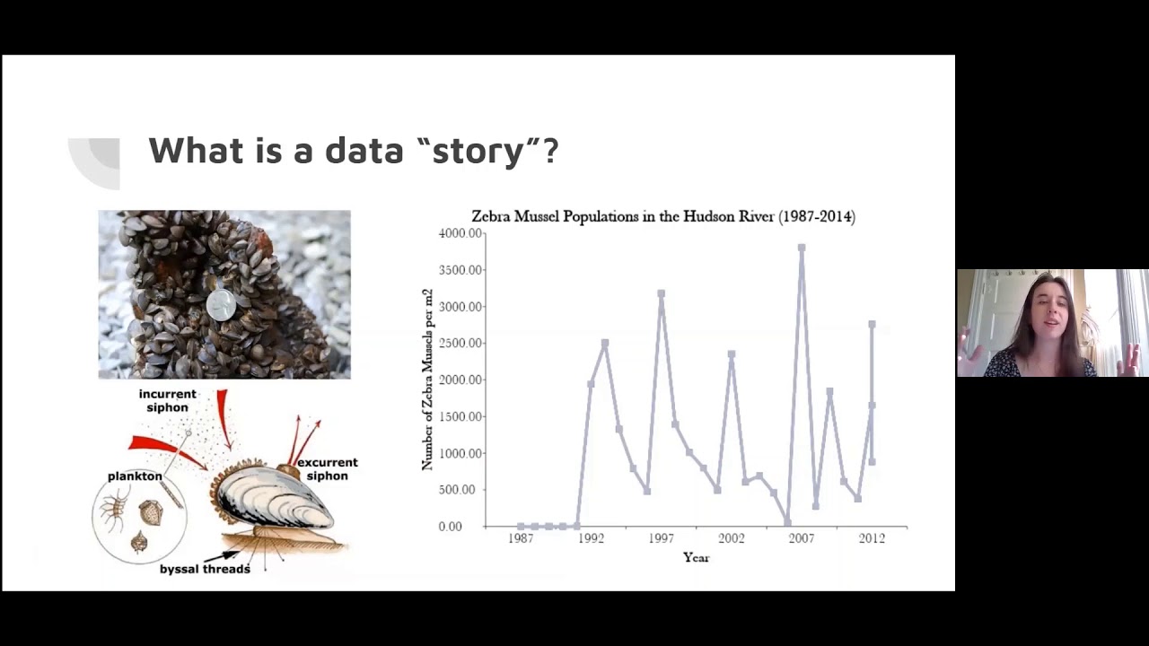 Virtual Data Jam for Families: Becoming Eco-detectives