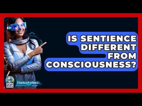Is Sentience Different From Consciousness? - The SciFi Reel