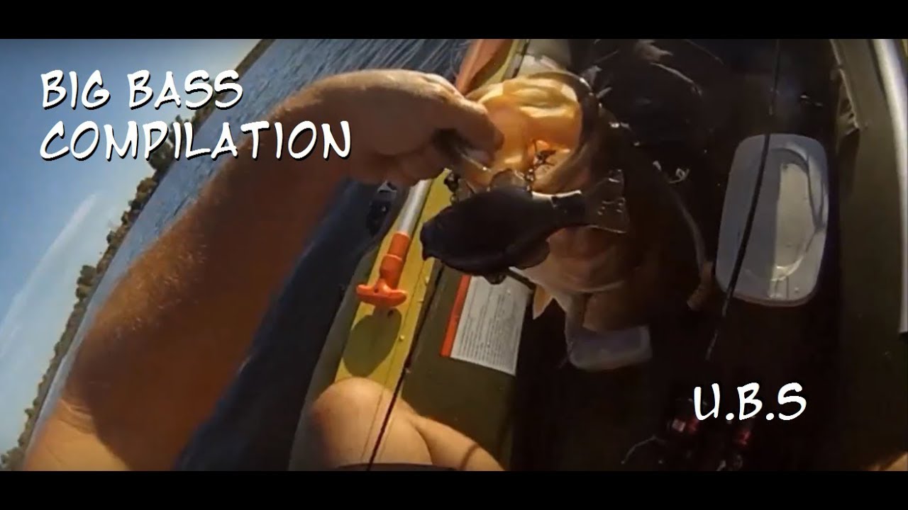 Big Bass Compilation 2018