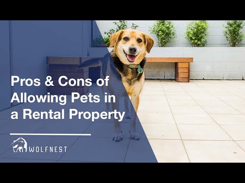 Pros and Cons of Allowing Pets in a Rental Property