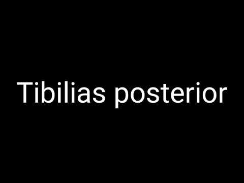 How to pronounce tibialis posterior