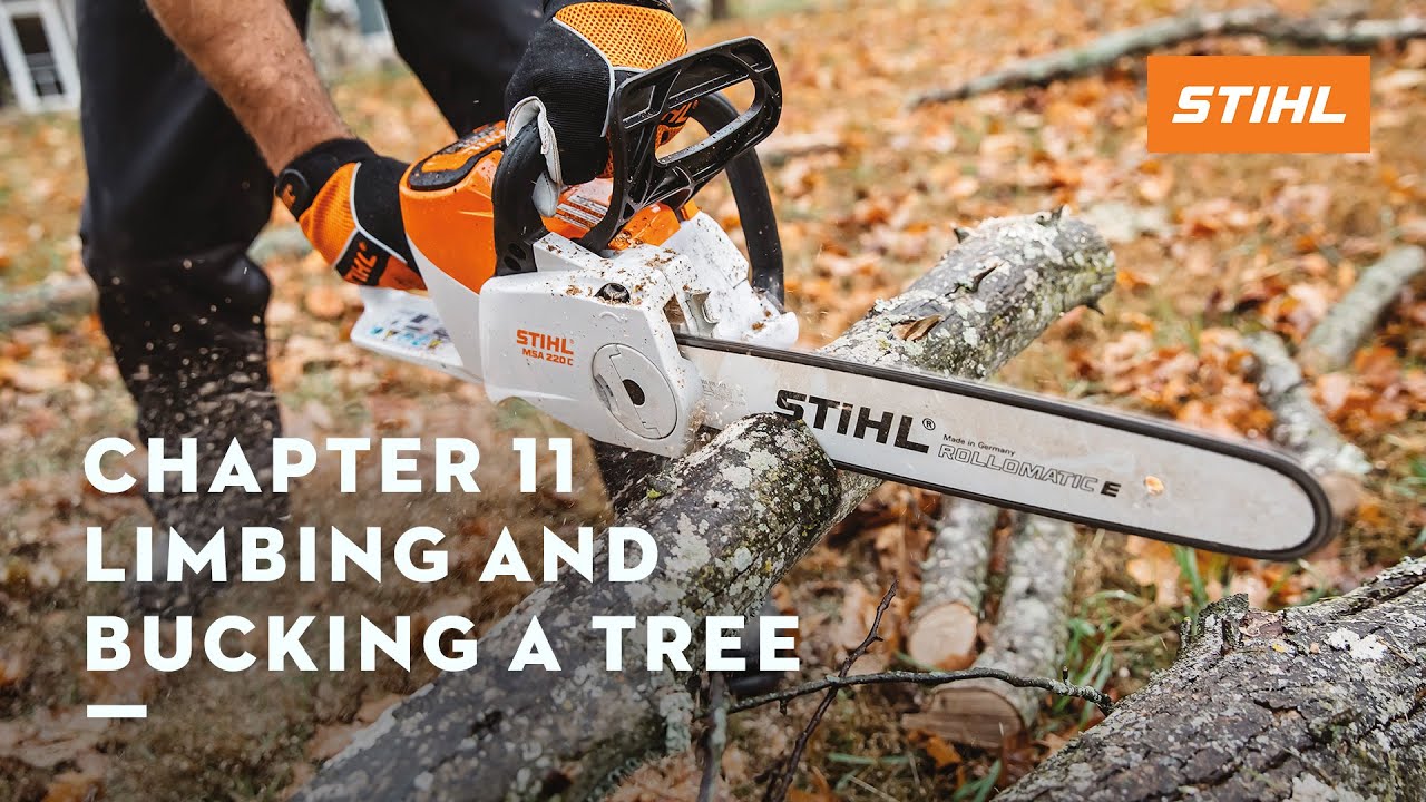 How to Limb and Buck a Tree | Bucking Trees | STIHL USA