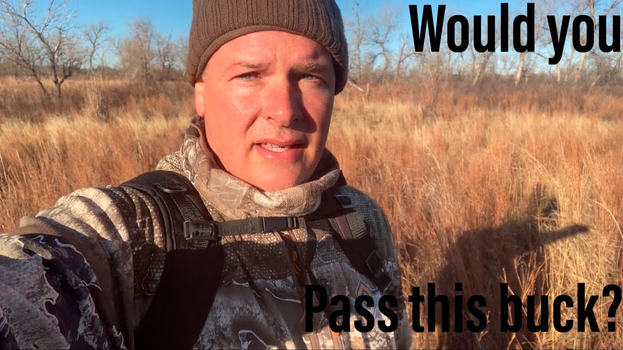 Late season Bow hunt-Would you pass this buck?