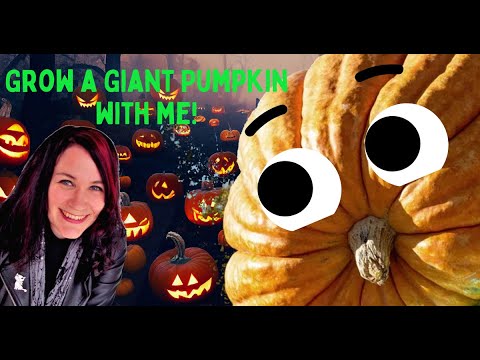 Operation Giant Pumpkin 2023 –all videos! – horror comedy and funny ...