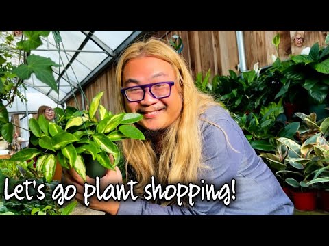 Plant Depot Plant Check! #plantshopping