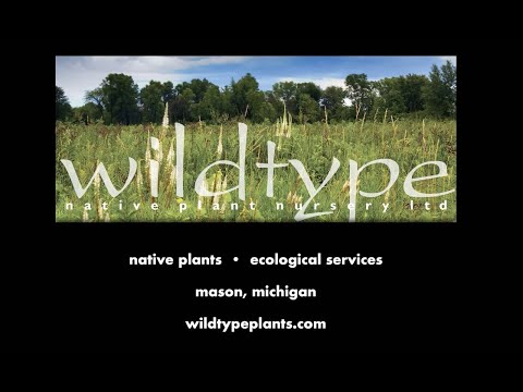 Reflections on the Past, Present and Future Use of Native Plants in the Landscape - Bill Schneider