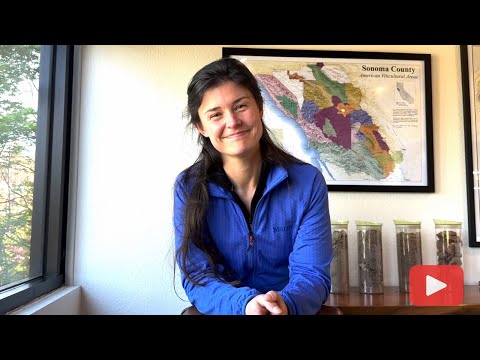 Claire Ramey on Sonoma's 2023: 'A Great Vintage in Many Ways ...