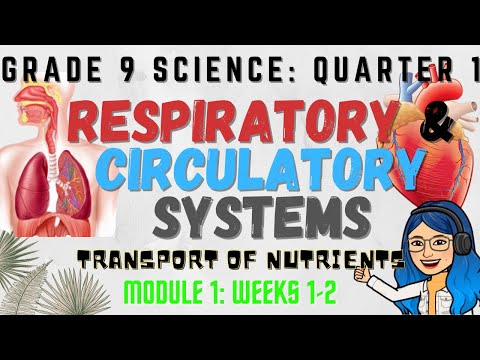 Respiratory and Circulatory Systems | Grade 9 Science Quarter 1 Lesson